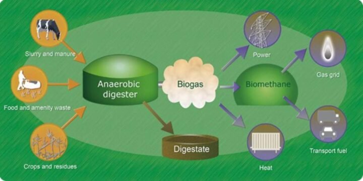Biomass Fermentation Methods, including Anaerobic Digestion