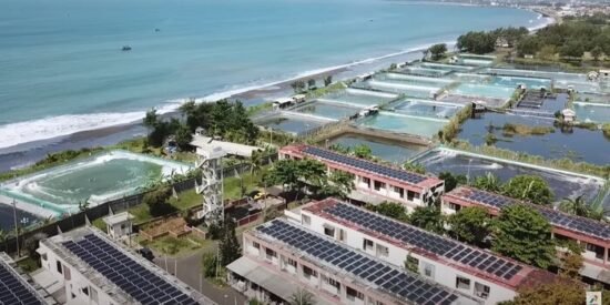 Mengenal Pertamina Power Indonesia, Fokus di Bidang NRE