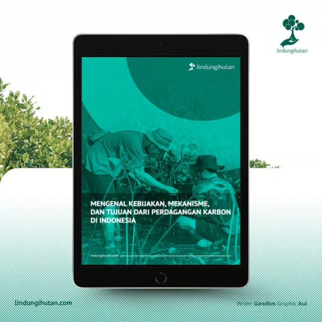 Panduan Praktis Memahami Perdagangan Karbon di Indonesia - zonaebt.com