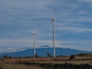 Advancing Wind Energy, No More Animal Harm - zonaebt.com