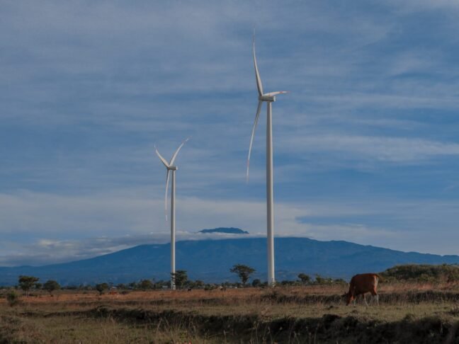 Advancing Wind Energy, No More Animal Harm - zonaebt.com