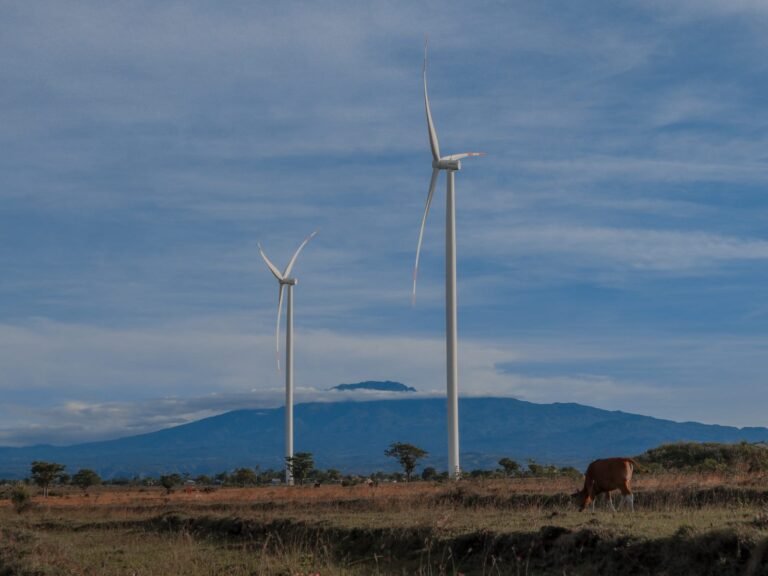 Advancing Wind Energy, No More Animal Harm - zonaebt.com