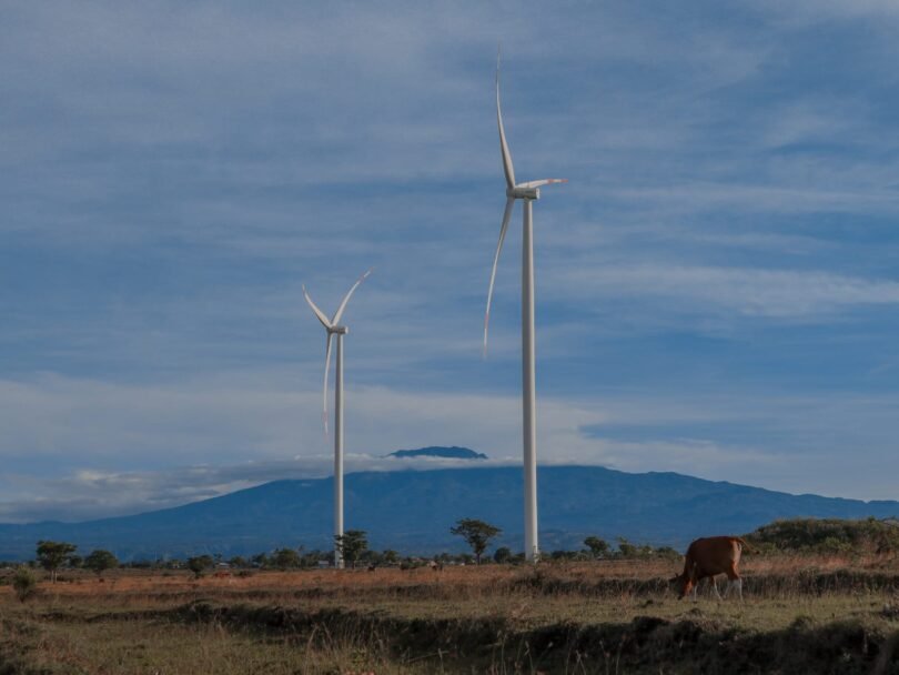 Advancing Wind Energy, No More Animal Harm - zonaebt.com