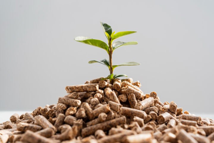 Biomassa: Cara Cerdas Mengubah Sampah Menjadi Energi - zonaebt.com