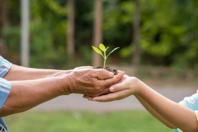 Small Steps, Big Impact: Increasing Environmental Awareness Starting ...