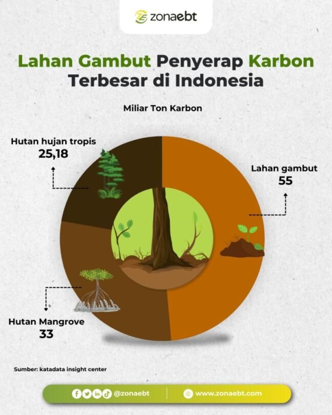Lahan Gambut Penyerap Karbon Terbesar di Indonesia - zonaebt.com
